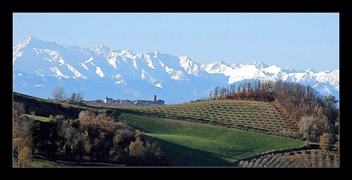 Dégustation Cellier – Les beaux barolos 2004 – Chez Julien